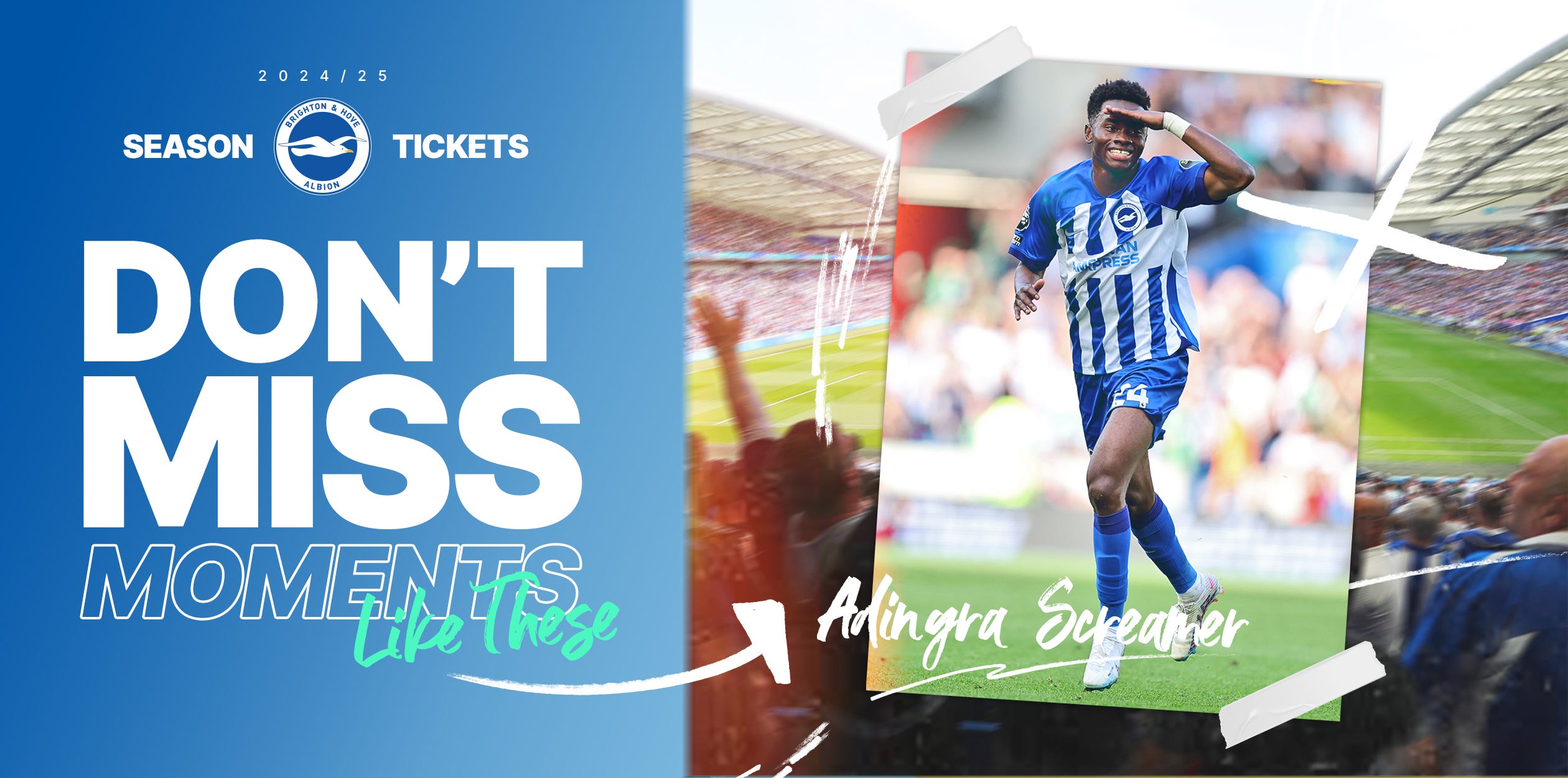 Brighton & Hove Albion